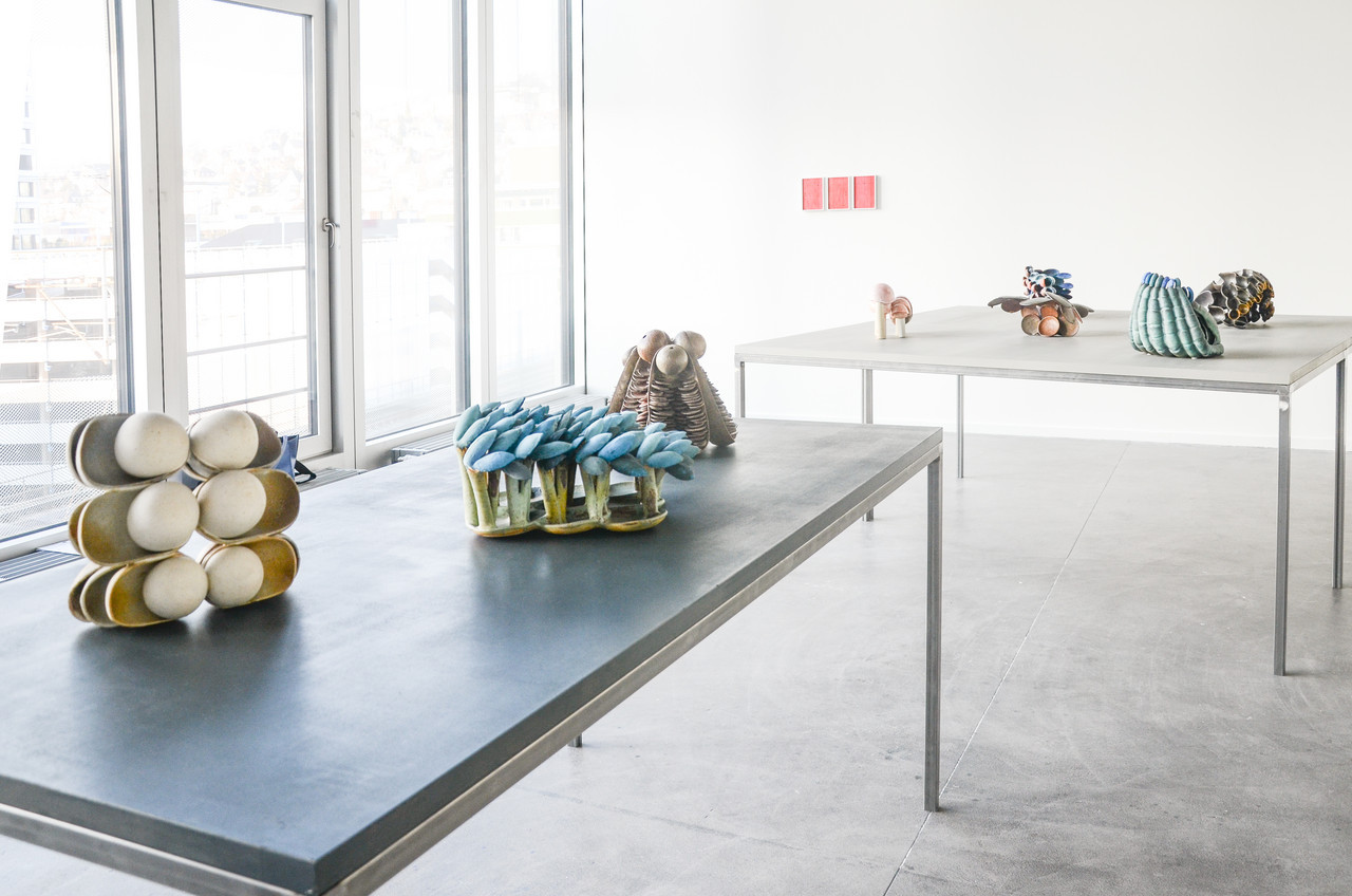 Bachelor Fine Arts exhibition in cooperation with the Ursula Hauser ...